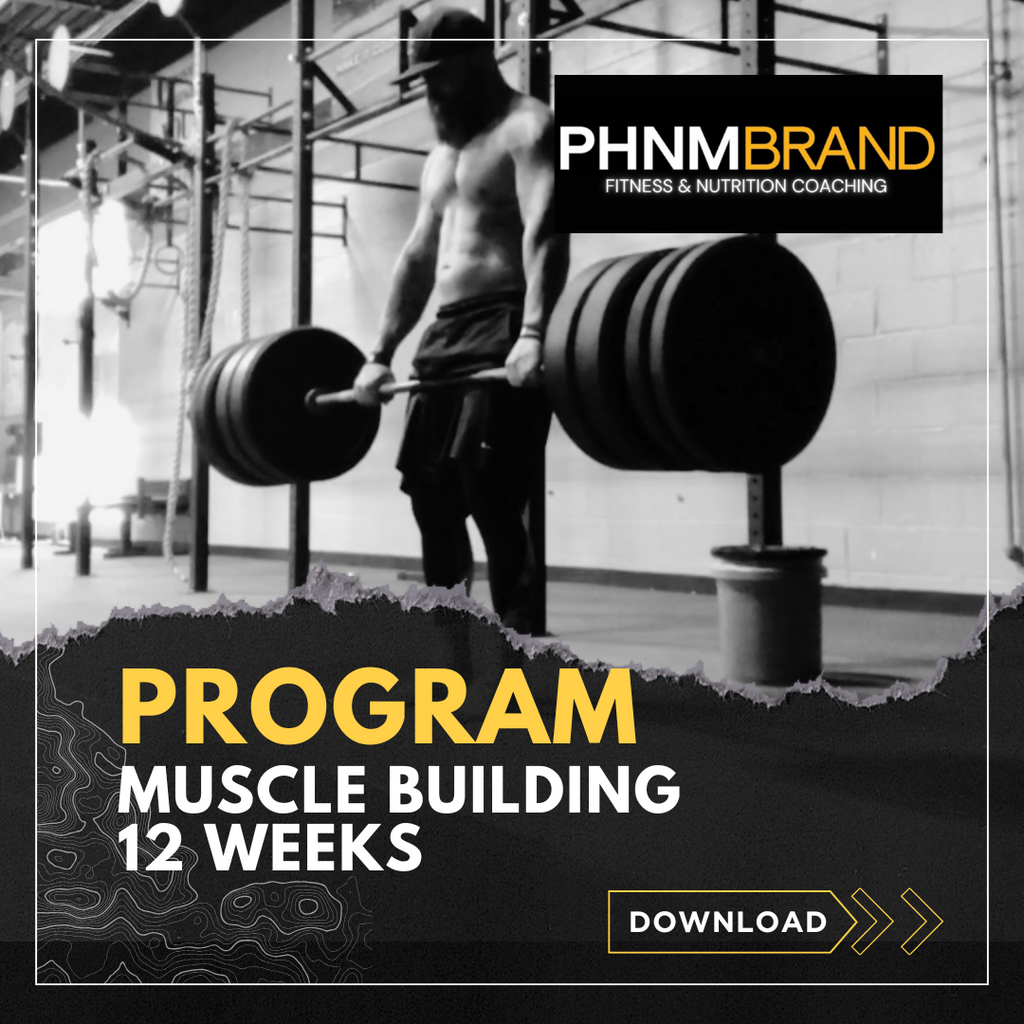 12 Week Muscle Building Workout Plan – PHNM Brand